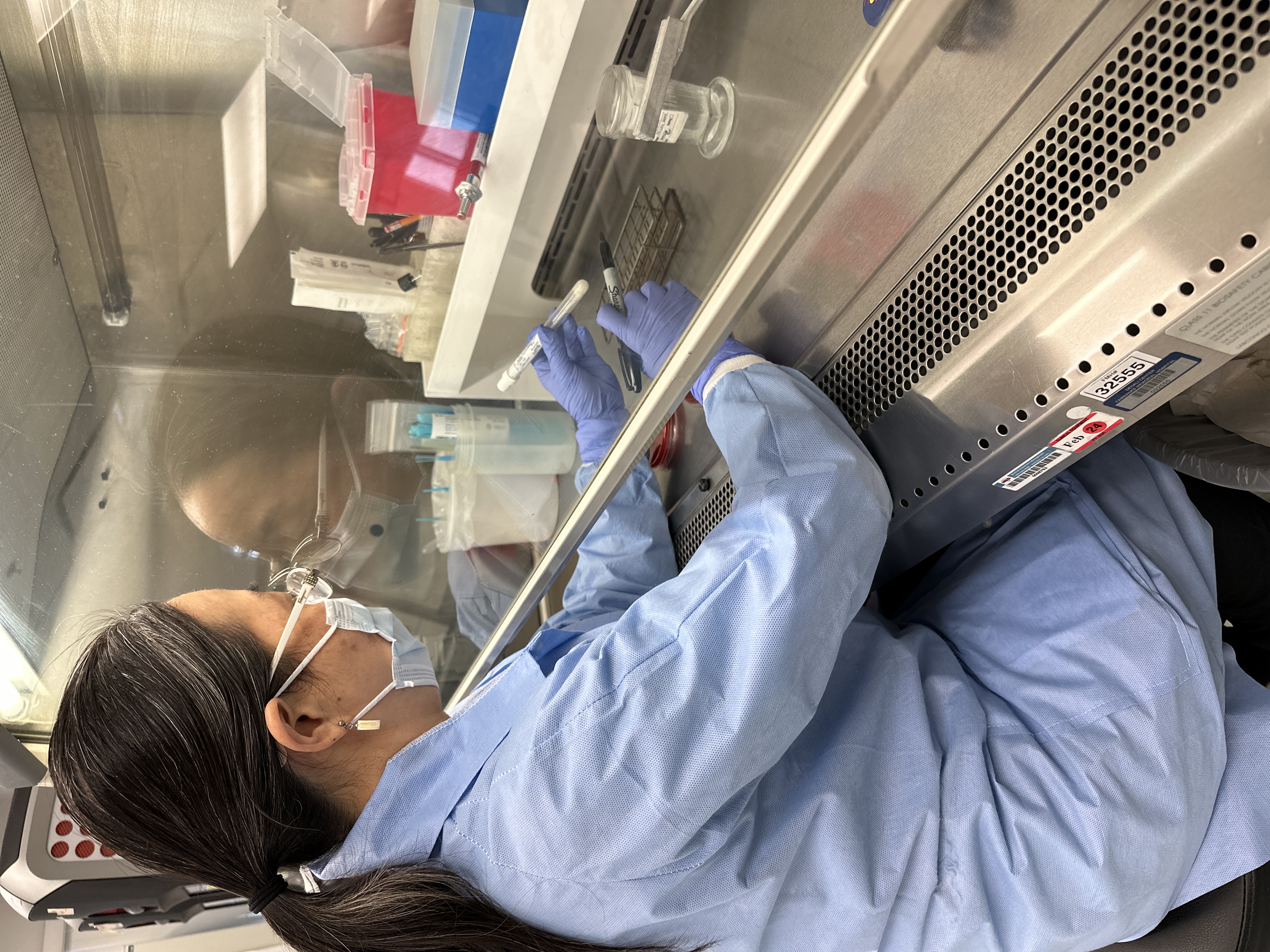 Lab Tech Trainee Program - Foundationhealthpartners